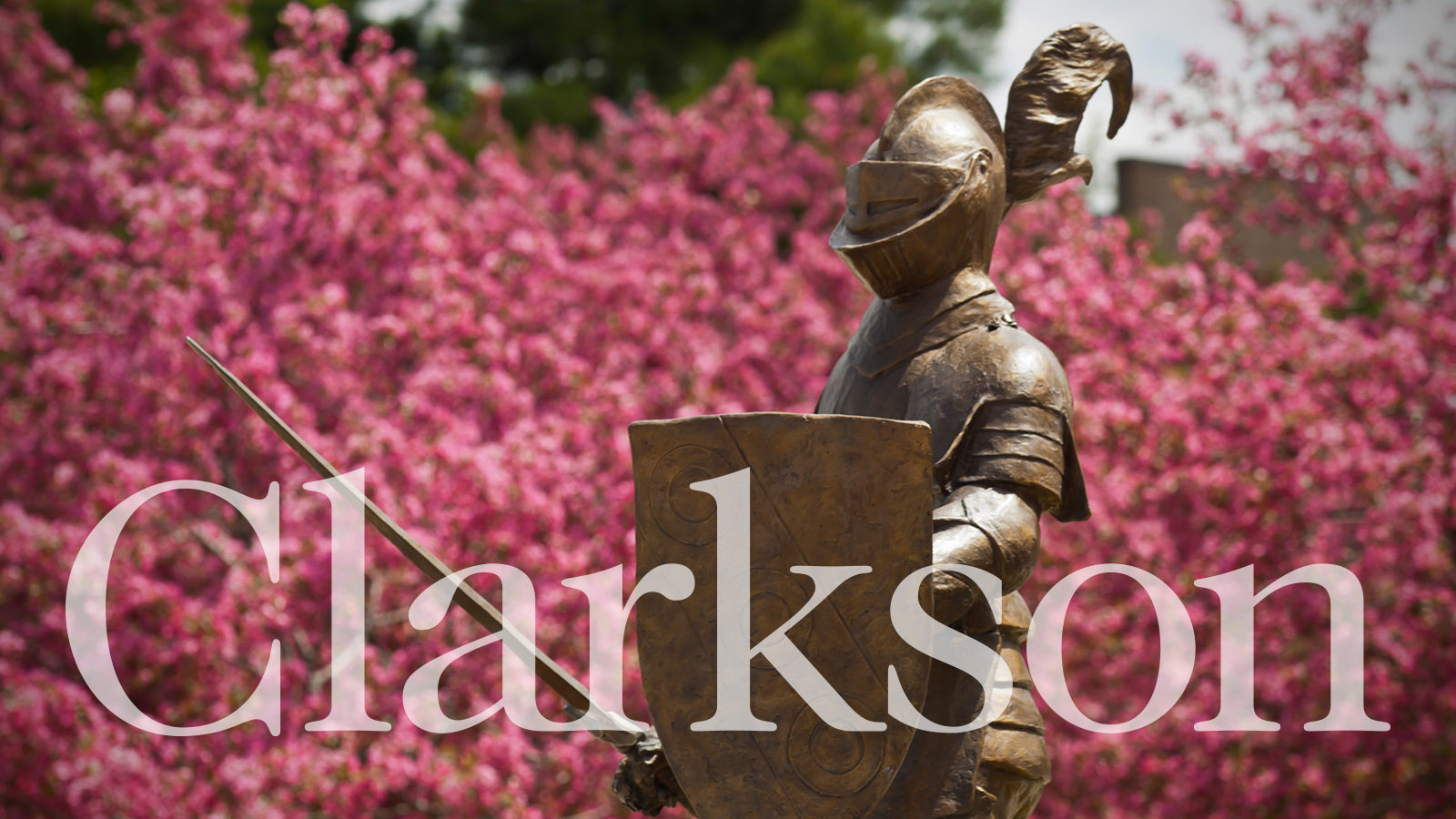 Clarkson Golden Knights Pride Pack | Clarkson University